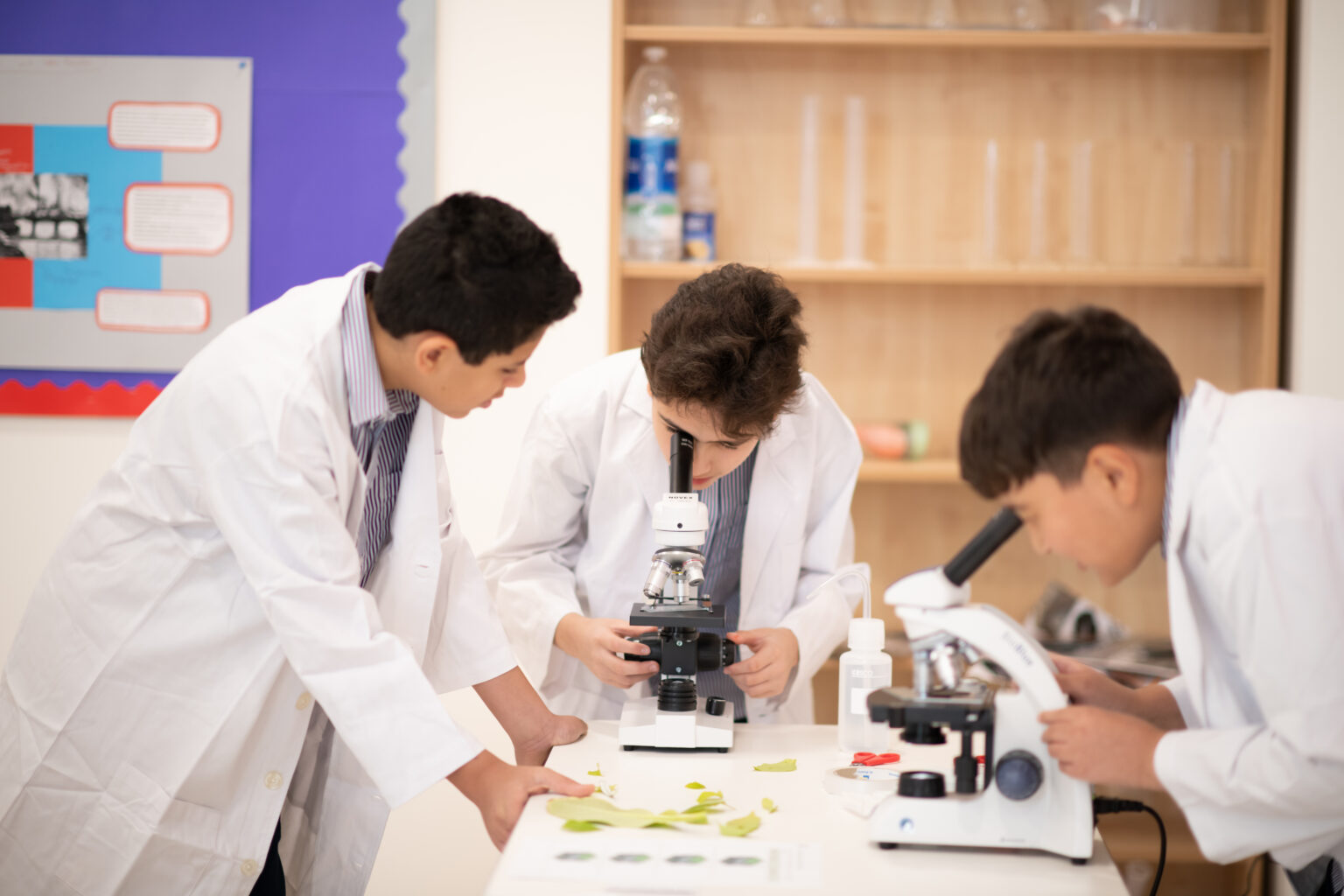 IGCSE School in Qatar | British Curriculum at Queen’s Qatar